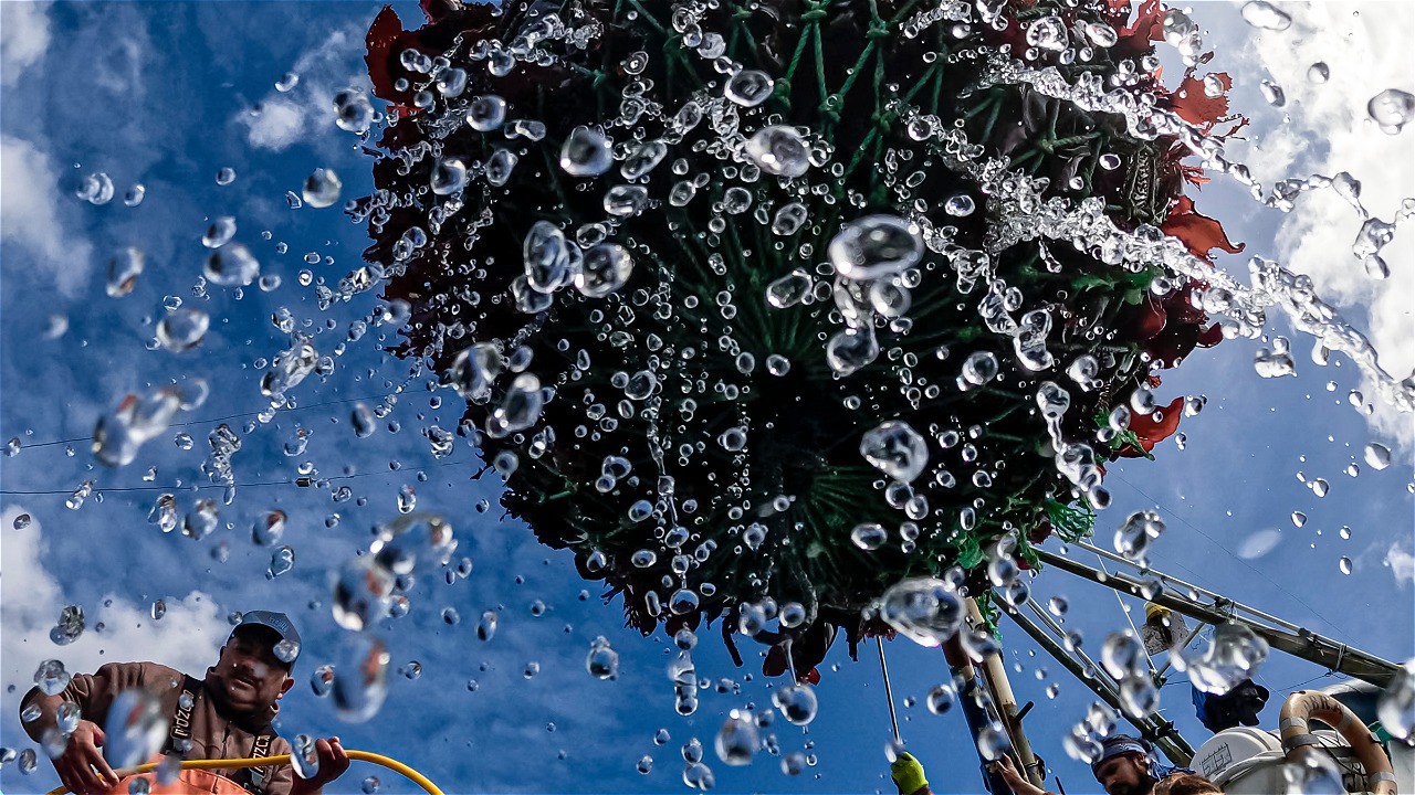 IDENTIFIKASI PELAKU PEMBUDIDAYA RUMPUT LAUT DAN KERAPU POTENSIAL DI MALUKU TENGGARA